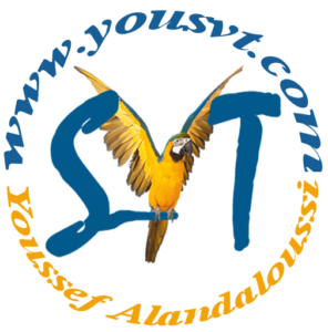 Best Video Slots - YouSVT