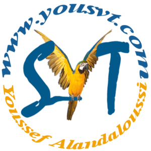 Best Video Slots - YouSVT